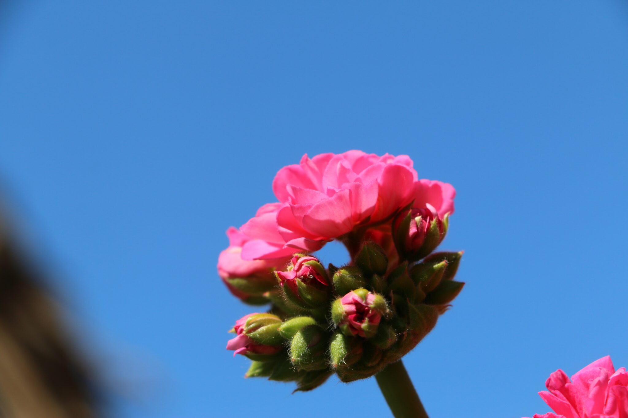 Israel – Provenance101